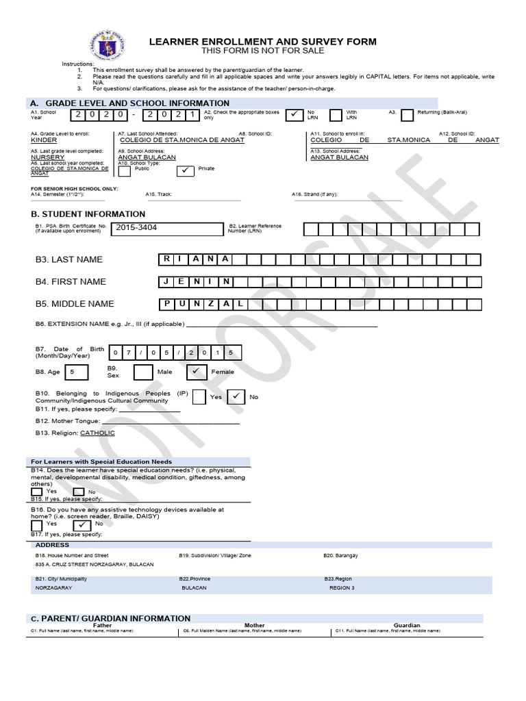Riana Jenin Leyson Lesf Survey Form 1 | PDF | Internet