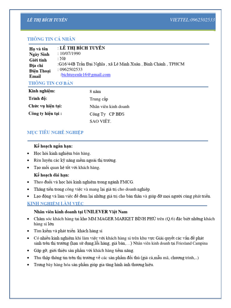CV-Bich Tuyen | PDF