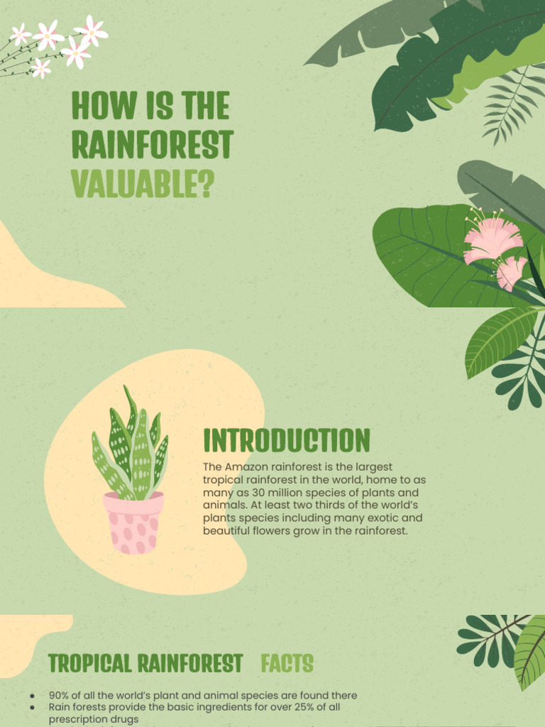 How Is The Rainforest Valuable | PDF | Rainforest | Soil