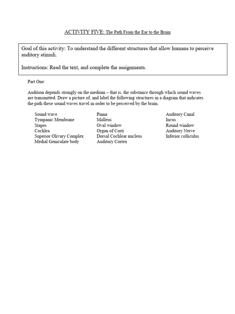 ACTIVITY FIVE Instructions and Answer Sheet | PDF | Auditory System ...