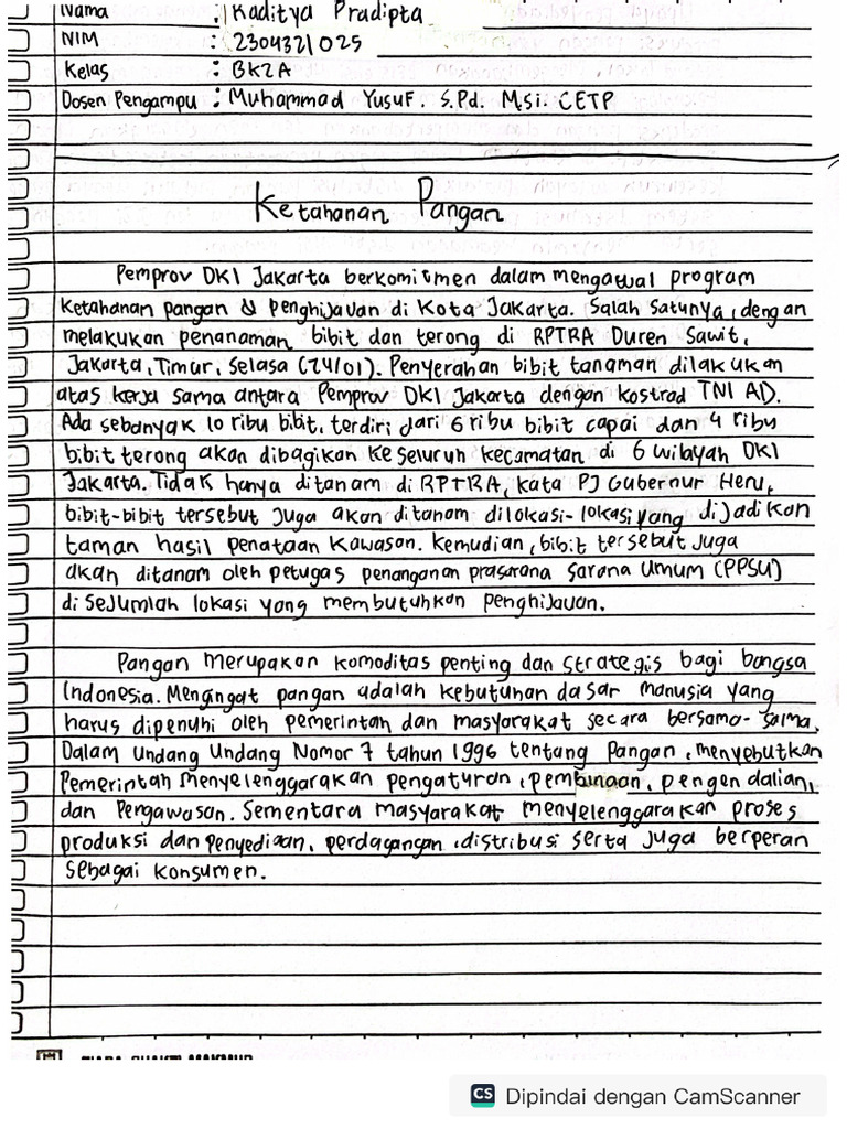20 - Raditya Pradipta | PDF