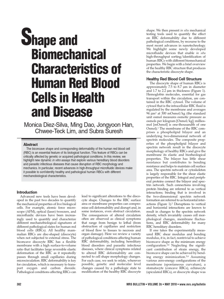 Shape and Biochemical Characters of RBCs in H and D | PDF | Red Blood ...