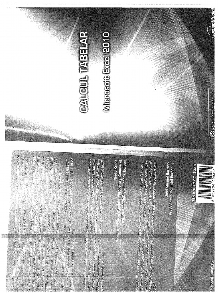 Microsoft Excel 2010 Pdf