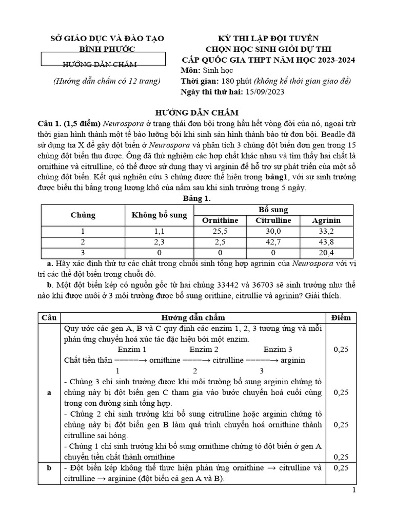 2324-BINH PHUOC-đáp Án Ngày 2 | PDF