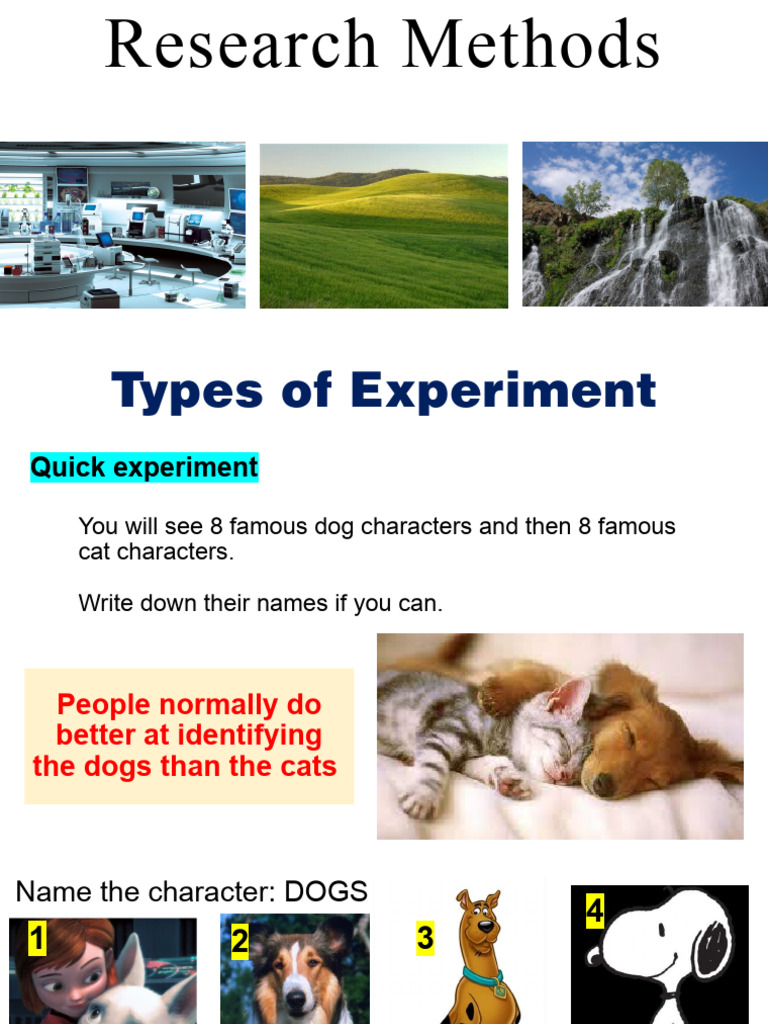 Types of Experiments in Psychology | PDF | Experiment | Validity ...