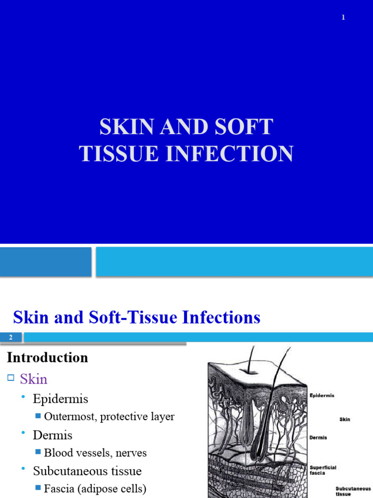 Skin and Soft Tissue Infection 2024 | PDF | Rabies | Necrosis
