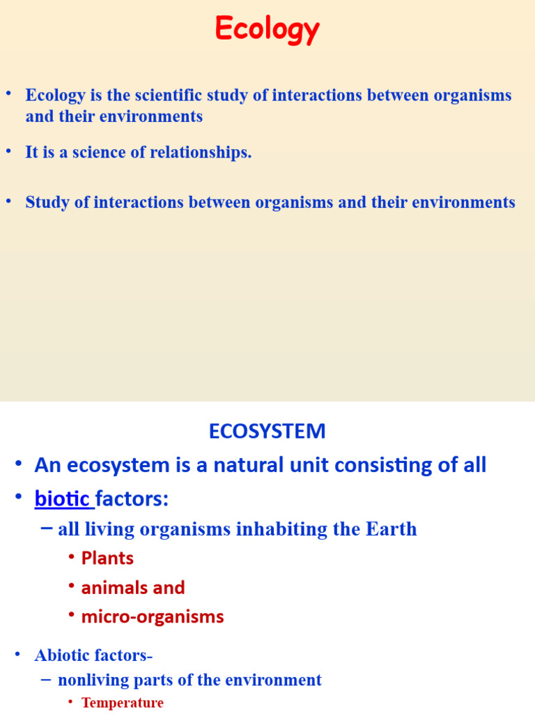 Weather and Drew - Land Biomes (8157284) | PDF | Forests | Grassland