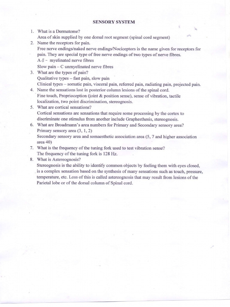 Sensory System | PDF