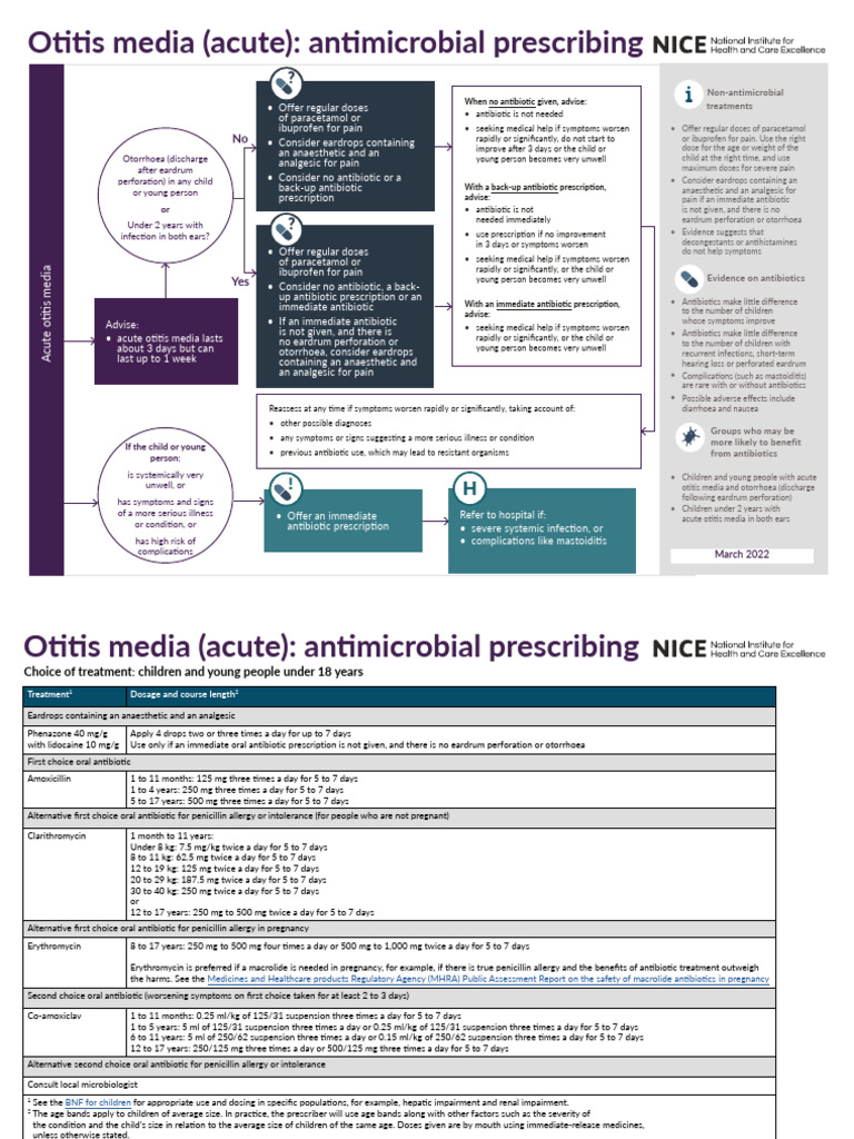 Visual Summary PDF 4787282702 | PDF | Health Care | Health Sciences