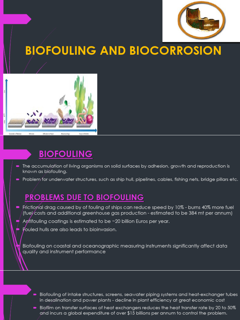 10 Biofouling and Biocorossion | PDF | Corrosion | Manganese