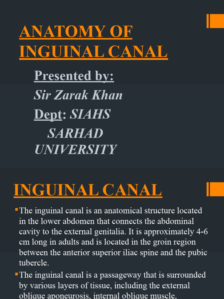 Anatomy and Contents of Inguinal Canal | PDF | Abdomen | Anatomy