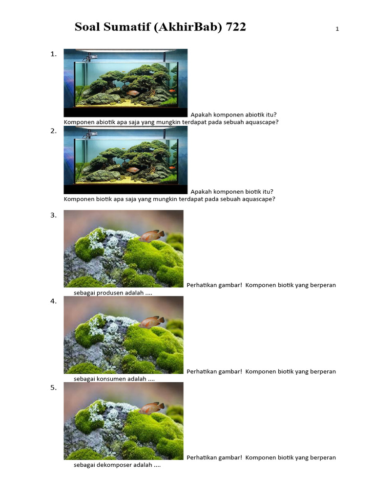 Soal Sumatif 722 | PDF