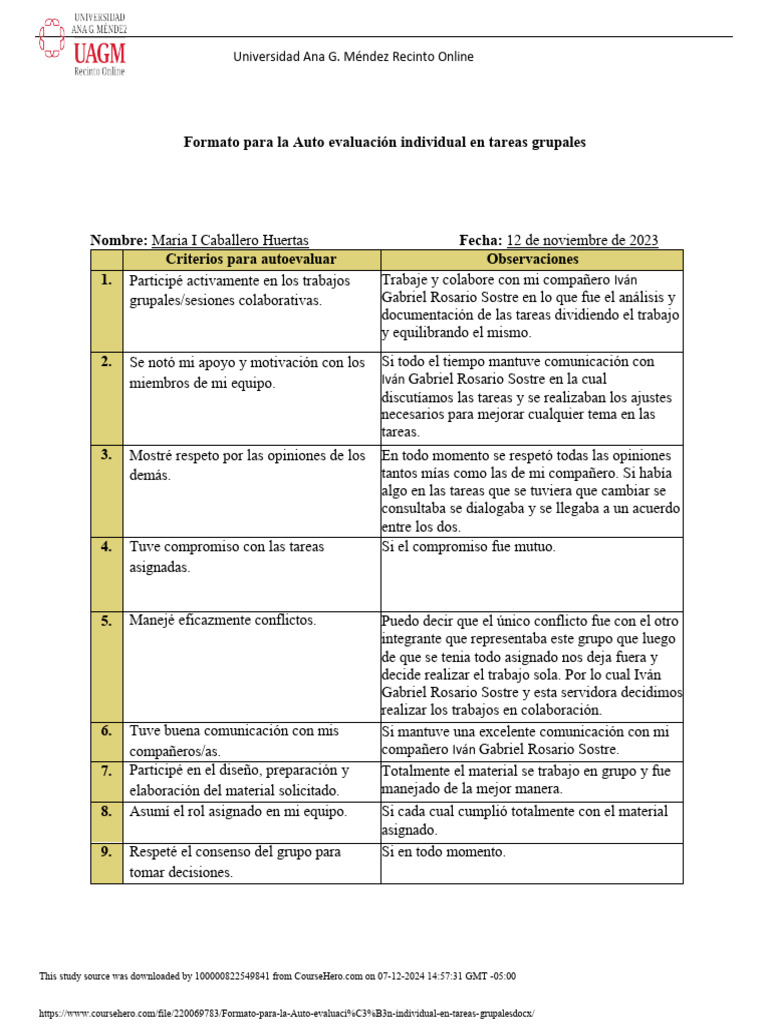 Formato para La Auto Evaluaci N Individual en Tareas Grupales | PDF