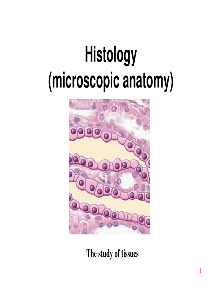 Histology GENERAL | PDF | Epithelium | Soma (Biology)