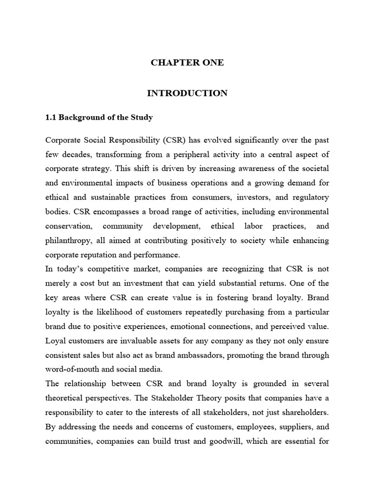 Corporate Social Responsibility (CSR) Project | PDF | Corporate Social ...