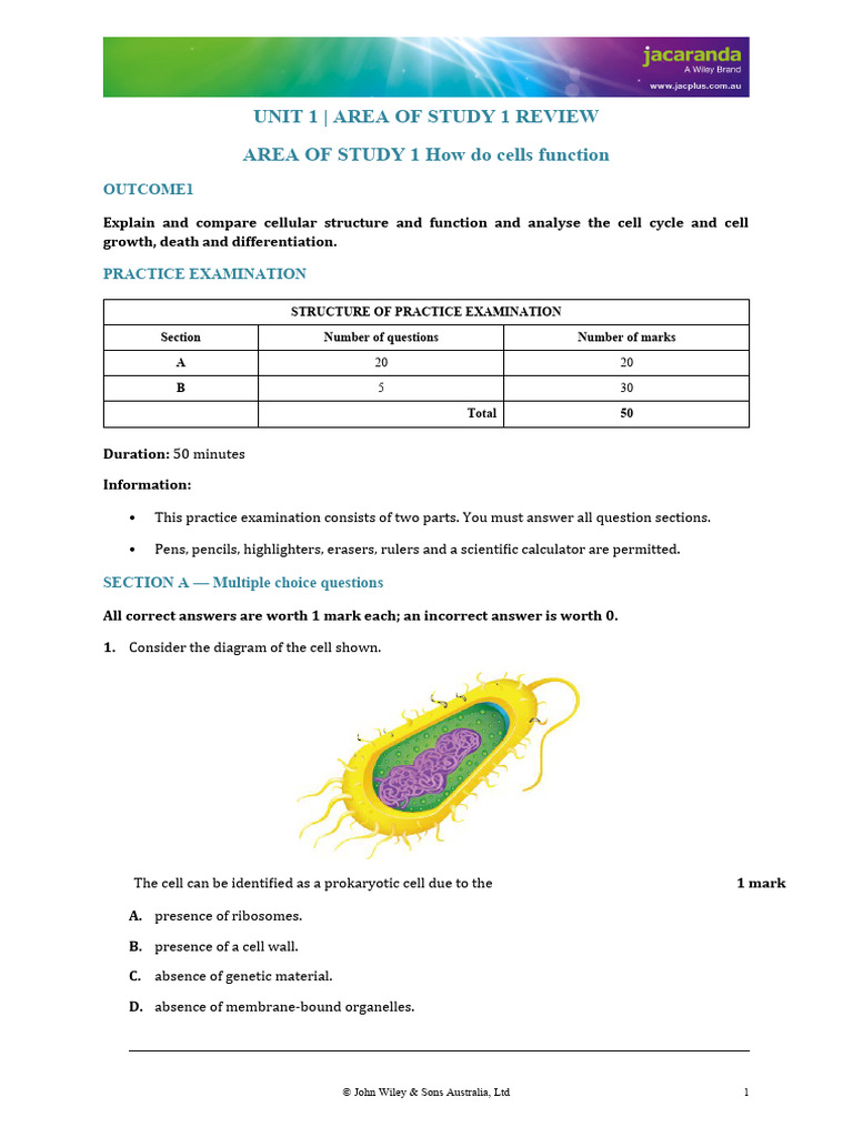 Unit 2 AOS1 Practice Exam | PDF | Cell (Biology) | Hematopoietic Stem ...