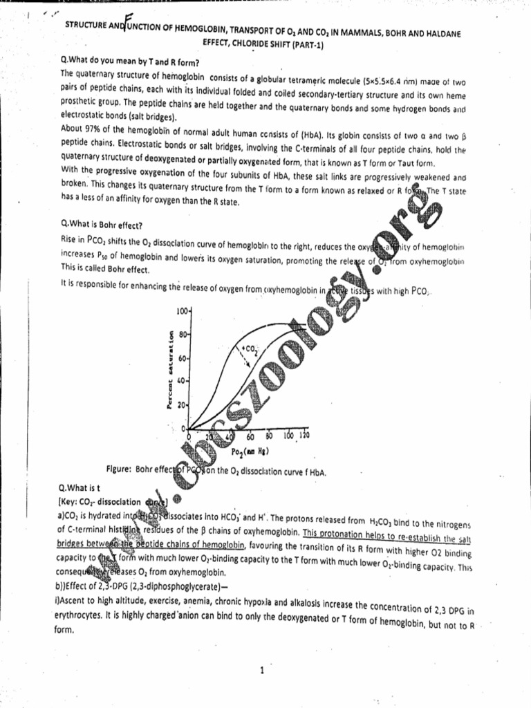 Structure and Function of Haemoglobin | PDF