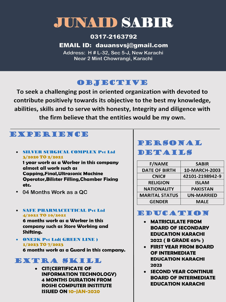 Junaid CV | PDF