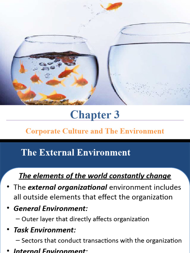 L3 The Environment Corporate Culture | PDF | Organizational Culture ...