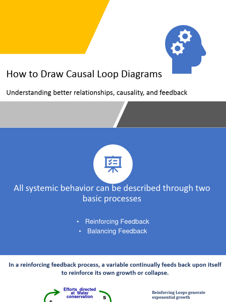 How To Draw Causal Loops Diagrams - Tutorial 1 - Part1 | PDF | Positive ...
