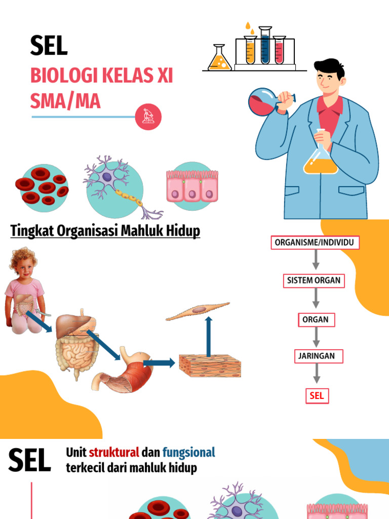 Biologi Xi Sel | PDF