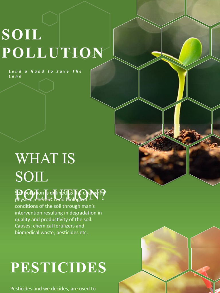 Soil Pollution | PDF | Soil | Fertilizer