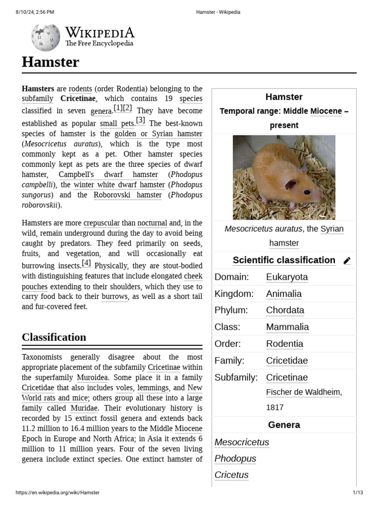 Hamster | PDF | Cricetidae