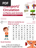 Human vs Fish Circulatory Systems | PDF | Circulatory System | Heart