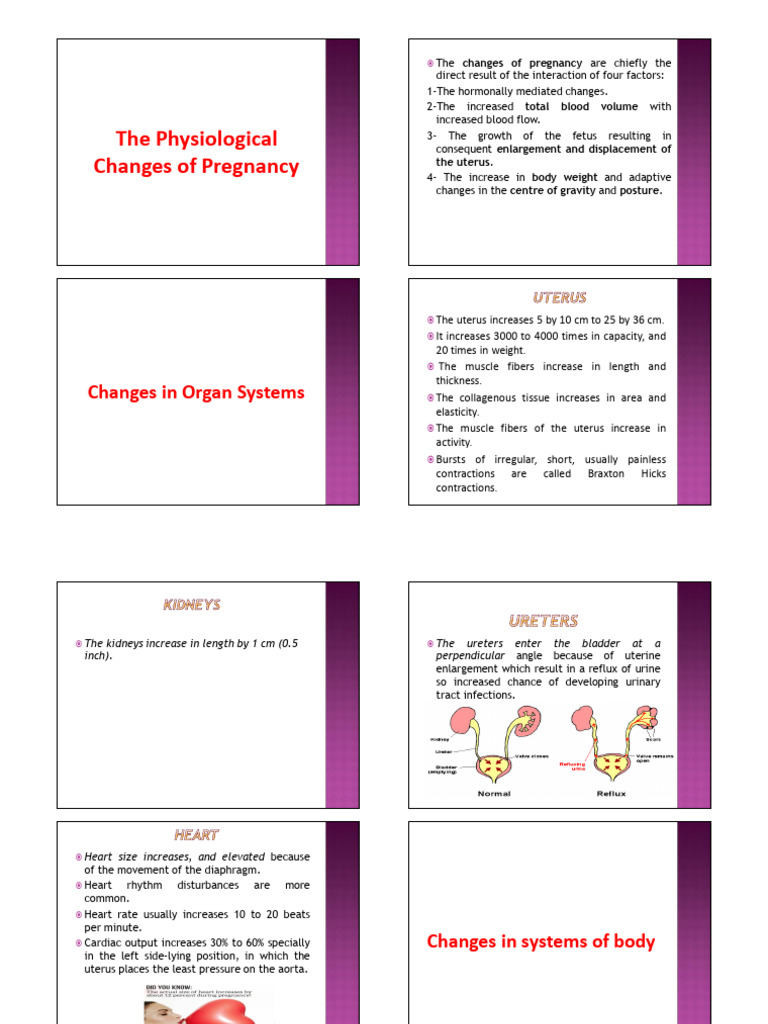 Lect-03 Pregnancy Changes | PDF | Uterus | Blood Pressure
