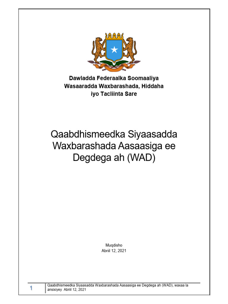 ABE Policy Framework Translated To Somali Final 1 | PDF