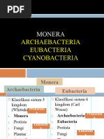 Macam Macam Bakteri | PDF