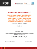 Instrument Necpal 4.0 2021 Esp | PDF | Salud pública | Medicina