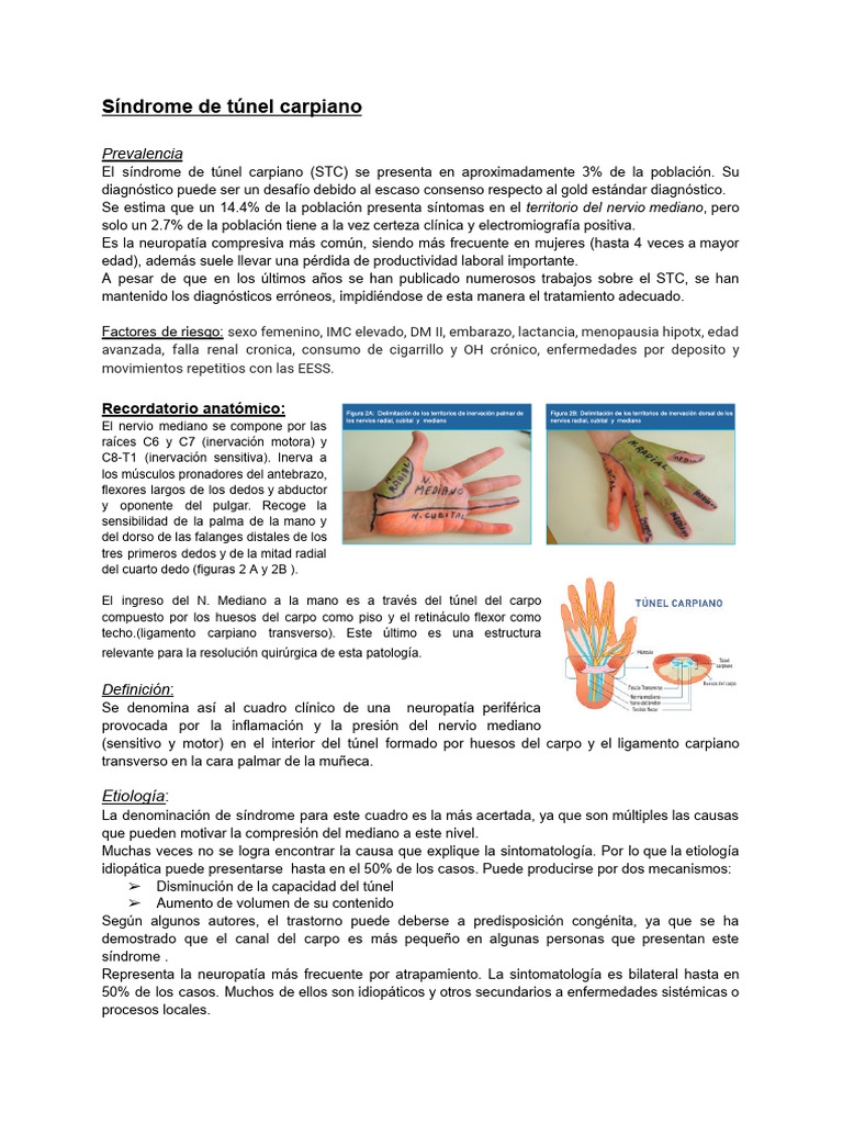 Resumen - Síndrome de Túnel Carpiano | PDF | Enfermedades y trastornos ...