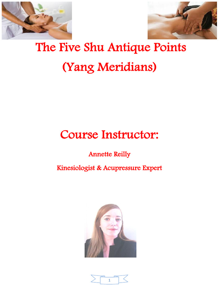 25 - 5-Shu-Antique-Points-Yang-Meridians-Manual-C | PDF | Acupressure ...