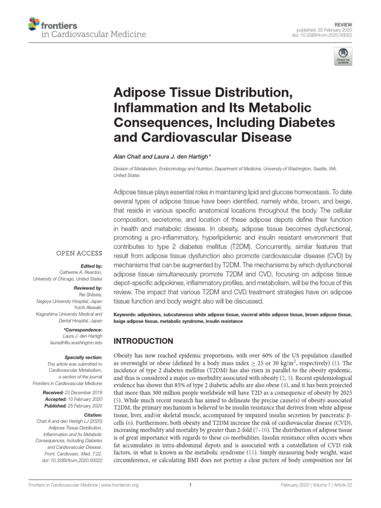 adipose tissue | PDF | Adipose Tissue | Leptin