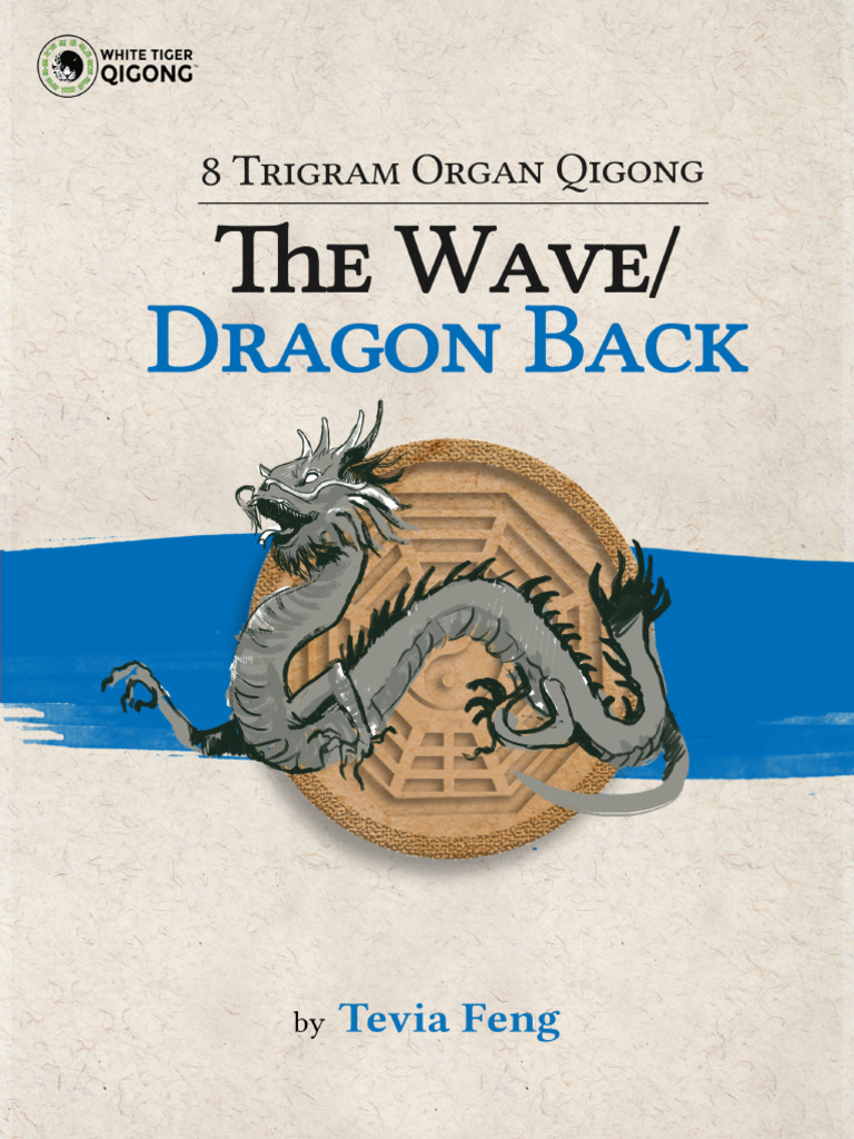 1.1 Manual - 8 Trigram - Dragon Back | PDF | Vertebral Column | Qi