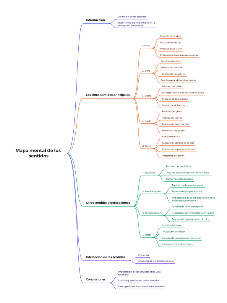 Mapa Mental de los 5 Sentidos | PDF | Gusto | Sentidos
