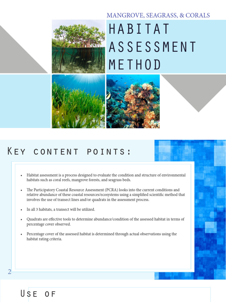 Coastal Habitat Assessment Methods | PDF | Coral | Coast