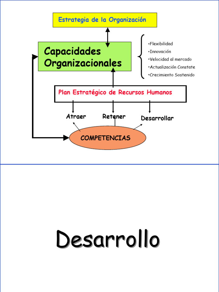 Desarrollo de Competencias | PDF | Gestión de recursos humanos | Business
