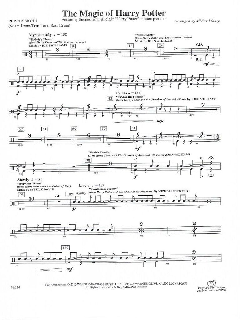 Percussão Harry Poter | PDF