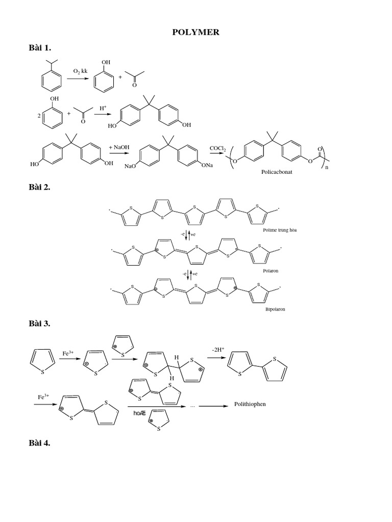 Polymer - ĐA-HS | PDF