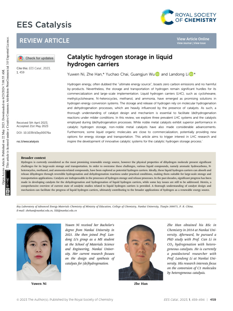 Catalytic Hydrogen Storage in Liquid Hydrogen Carrier | PDF | Catalysis ...
