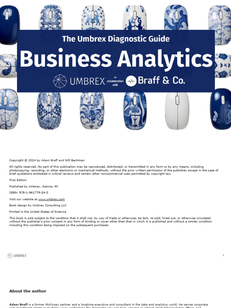 Umbrex Business Analytics Diagnostic Guide | PDF | Analytics | Strategic Management