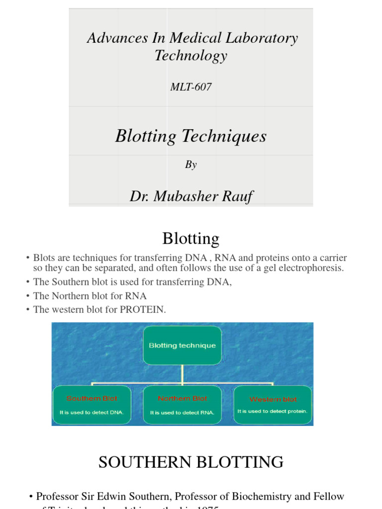 2nd - 3rd Lecture Blotting Techniques | PDF | Southern Blot | Blot (Biology)