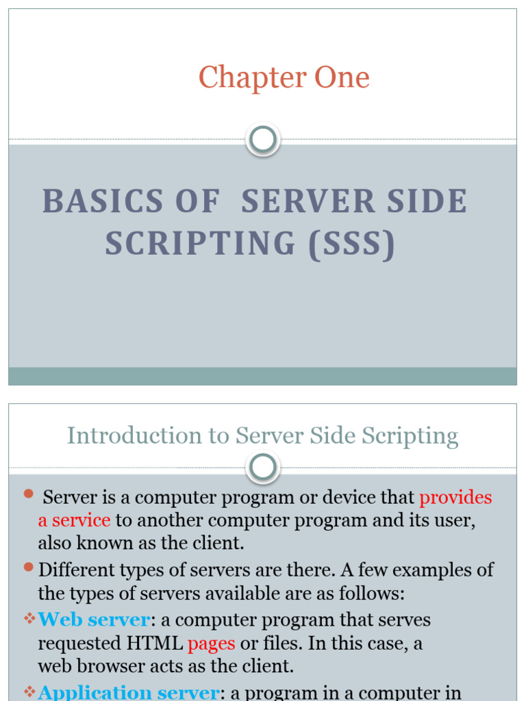 CH 1 | PDF | Dynamic Web Page | World Wide Web