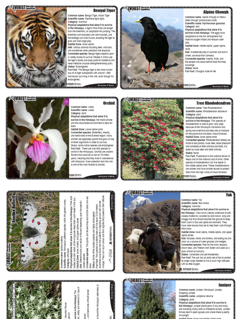 Lesson 06 BioDiversityCards | PDF | Himalayas | Tiger