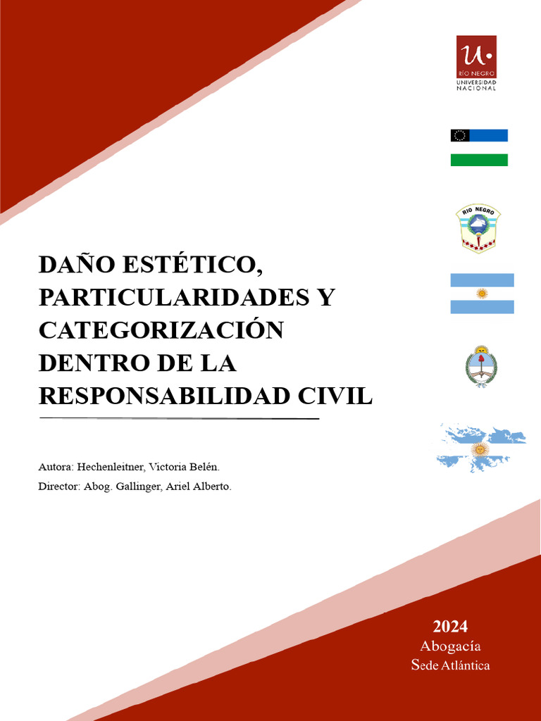 Hechenleitner, Victoria Belén-2024 | PDF | Daños y perjuicios | Moralidad