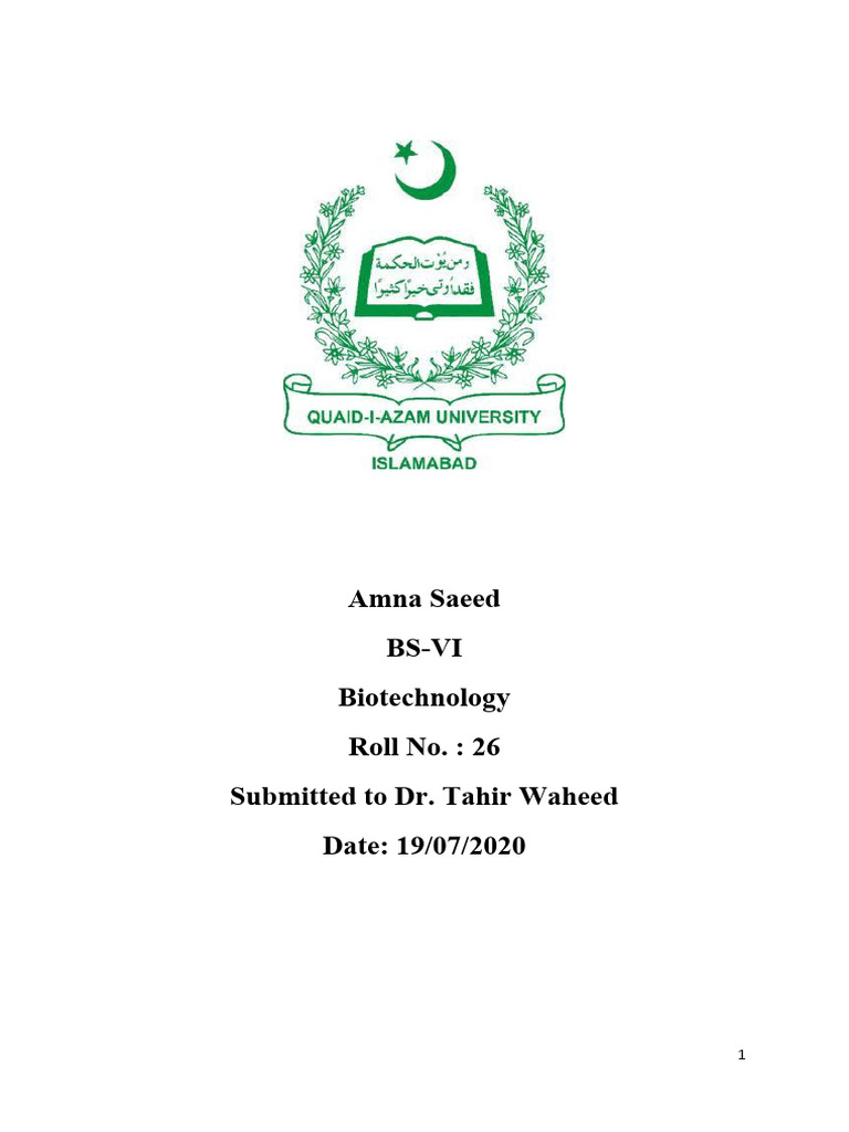 Genetically Modified Foods | PDF | Genetically Modified Food | Genetically Modified Crops