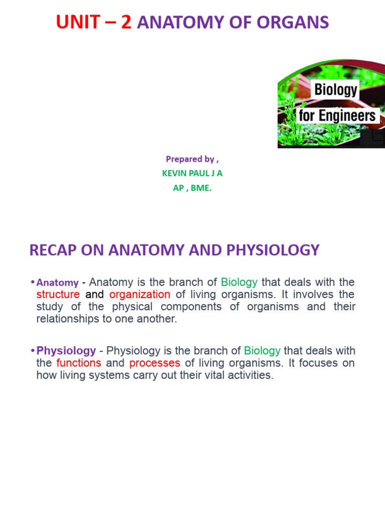 Anatomy of Organs - Eee - Unit - 2 | PDF | Heart | Heart Valve
