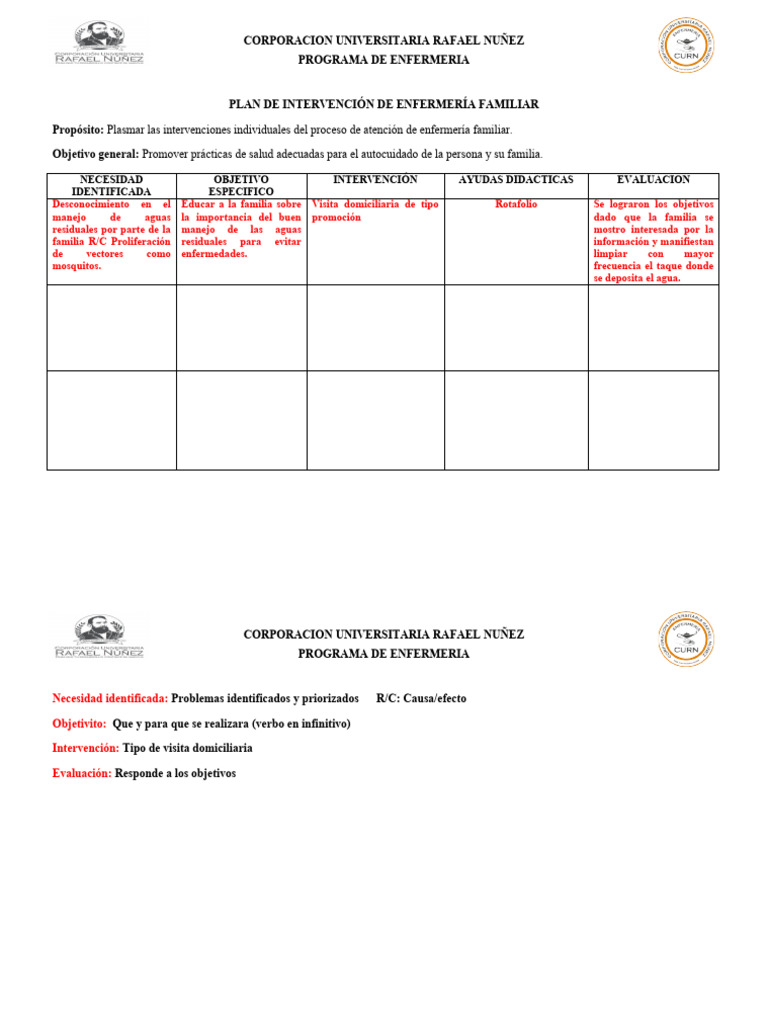 Formato Plan de Intervención Familiar | PDF